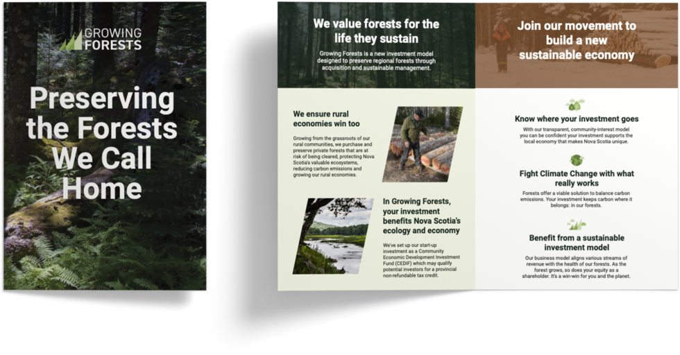 Preserving the Forests We Call Home with Growing Forests - R&G Strategic