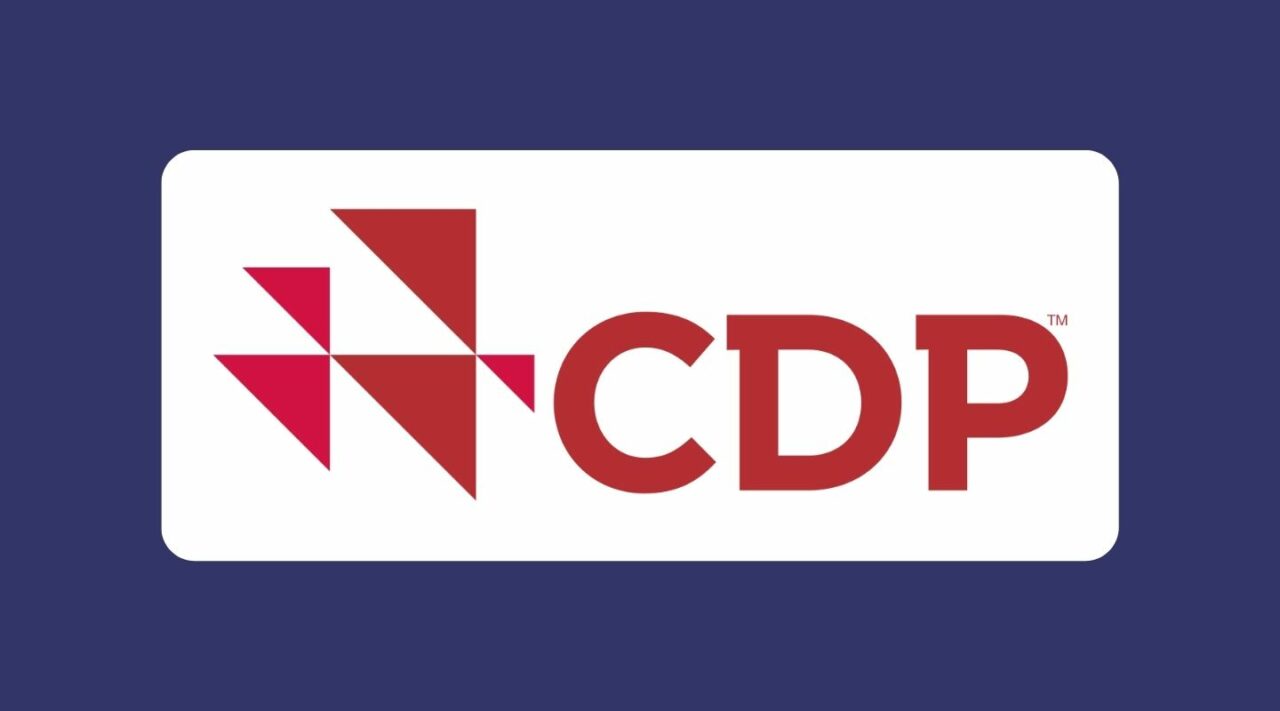 Making Sense of ESG Reporting