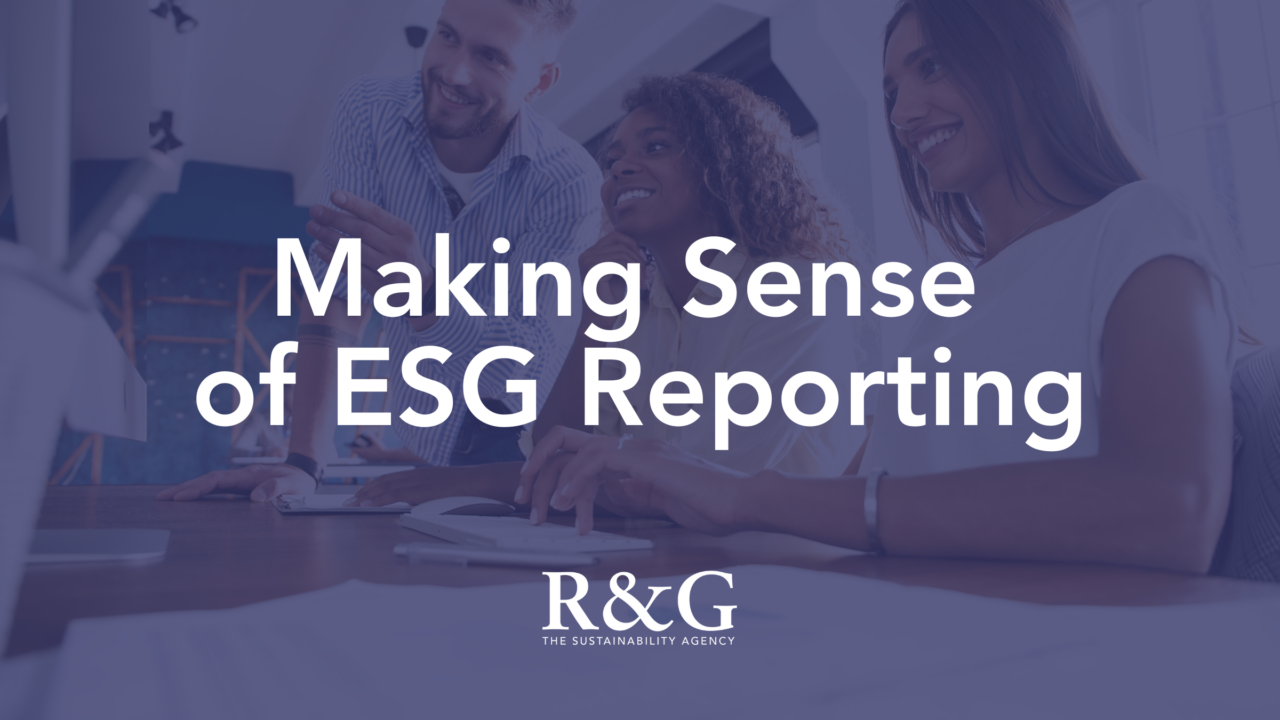 Making Sense of ESG Reporting